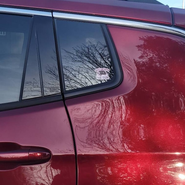 Rizz Em With the Tism Waterproof Weatherproof Vinyl Sticker Decal - Etsy