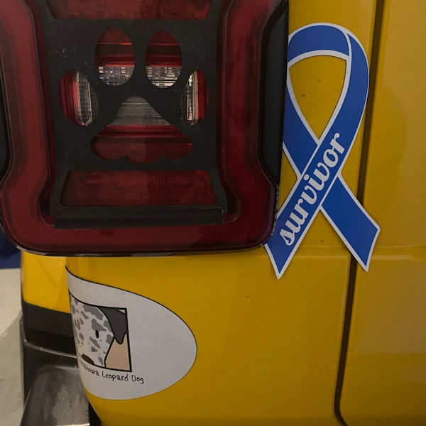 Blue Colon Cancer Survivor Ribbon Car Magnet Decal Heavy Duty ...