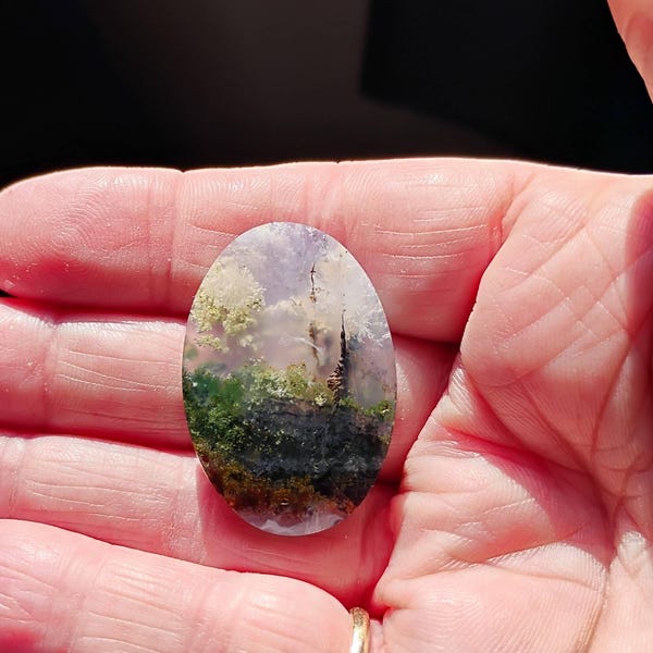 Lotus Flower Coral Fossil Agate Cabochon (37x22x6) Mm - Etsy