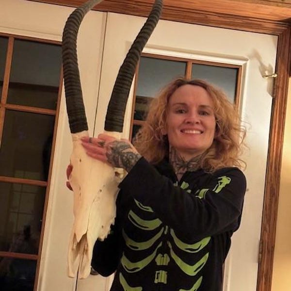 Dark Wide 5x4 Mule Deer Antler Horn Fake Skull Mount Taxidermy Rack Man ...
