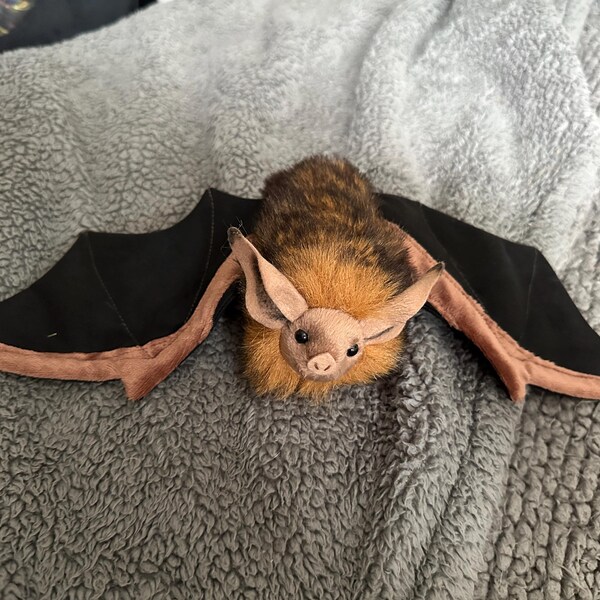 Bat Plush, Fruit Bat, Albino Flying Fox , Halloween Gift Bat Lovers ...