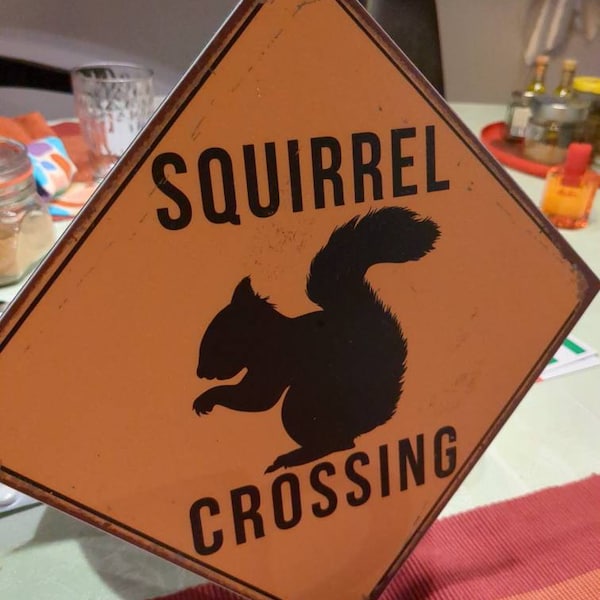 SQUIRREL CROSSING SIGN - Squirrel Crossing Signs, Squirrel Crossing ...
