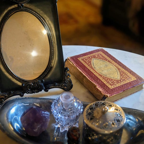 Cedar Smoke Cleansing Wands Wildcrafted Smudge Bundles Housewarming ...