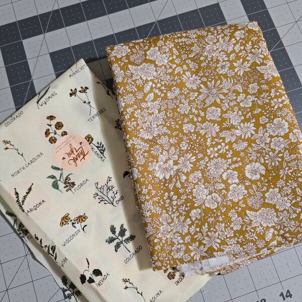 Clamshell Paper Pieces for English Paper Piecing EPP 3 - Etsy