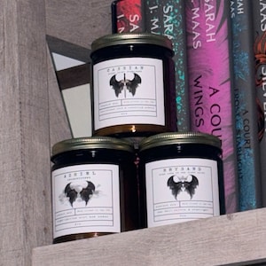 Crescent City Poster Art Print Lunathion HOEAB Bookish Gift Booktok ...