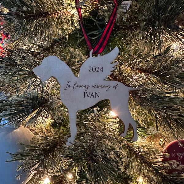 Axolotl Name Sign, Axolotl Tank Decor, Axolotl Tank Accessories ...