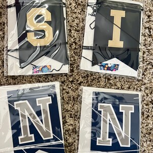 Dinosaur Banner in Custom Colors Dino Party Dinosaur Party | Etsy