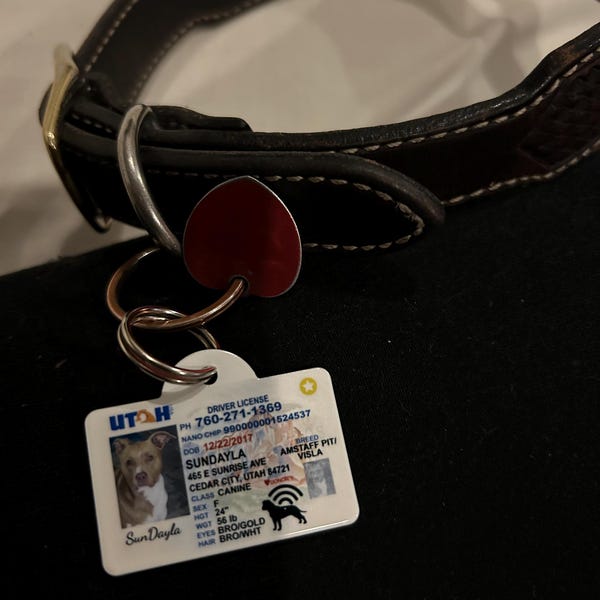 Texas Driver Dog Id Tag Personalized License, Durable Dog Tag, Double ...