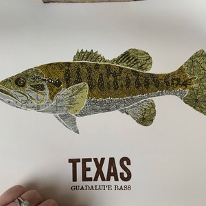 Texas State Fish, Map Art, Nature Outdoor Art, Vintage Map Art, Art ...