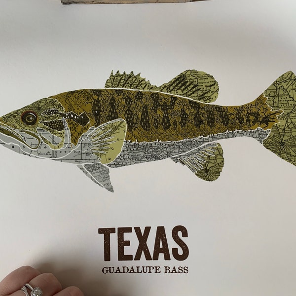 Colorado State Fish, Map Art, Nature Outdoor Art, Vintage Map Art, Art ...