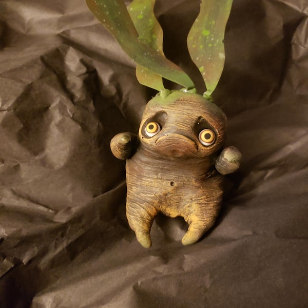 MANDRAKE PLANT- Mandrake Witchy Plants Magic Wonder Fantasy Potions ...