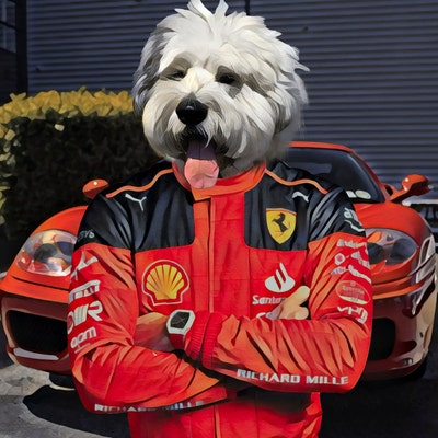 2024 Scuderia Ferrari F1 Driver Team Funny Pet Custom Portrait From ...