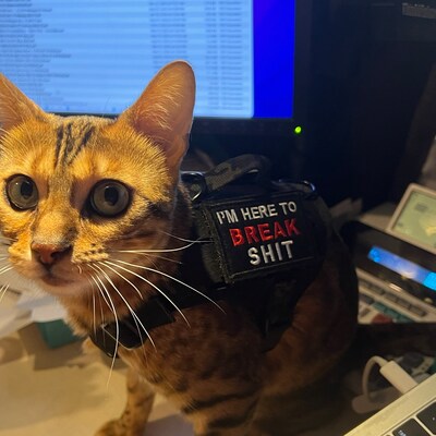 STINKY POOP Morale Patch - Etsy