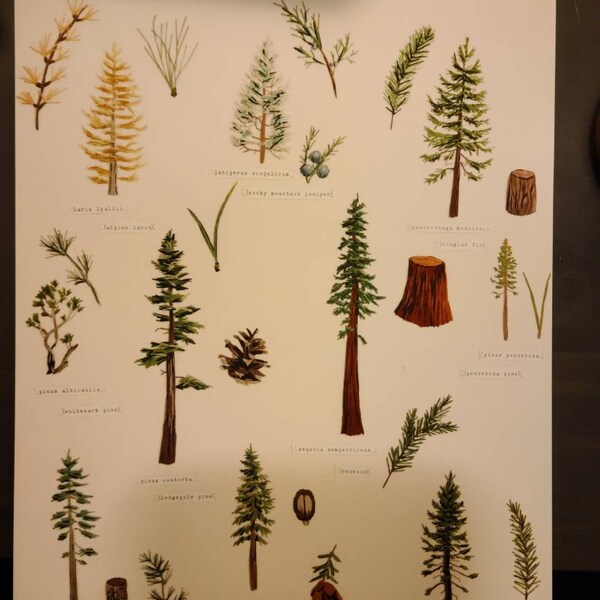 Ponderosa Pine Thread Painting Downloadable Pattern, Tree Pattern, PDF ...