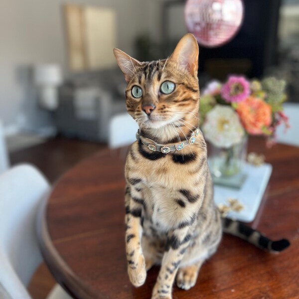 Light Green Embroidered Breakaway Cat Collar, Small Dog Collar, Kitten ...