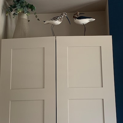 White Screw Shells 3-8cm Unicorn Horns Spiral Shell Beach Wedding ...