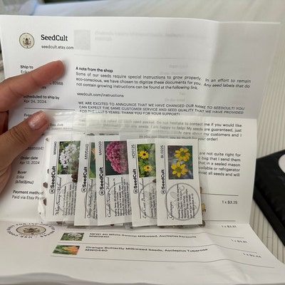 Billy Button Seeds, Craspedia, Billy Balls, Craspedia Globosa CD0150 - Etsy