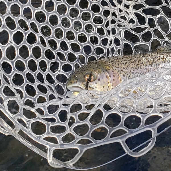 4 - Chocolate Midge Emerger. Midges and Emergers. Foam Wing. Fly ...