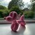 Animal Crackers Crochet Pattern Bundle EBOOK PDF Knotmonsters Amigurumi ...