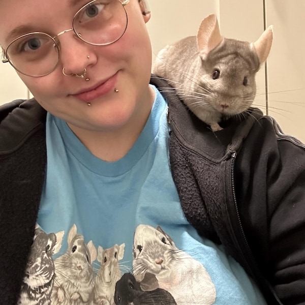 Chinpals Metal Enamel Chinchilla Pin - Etsy