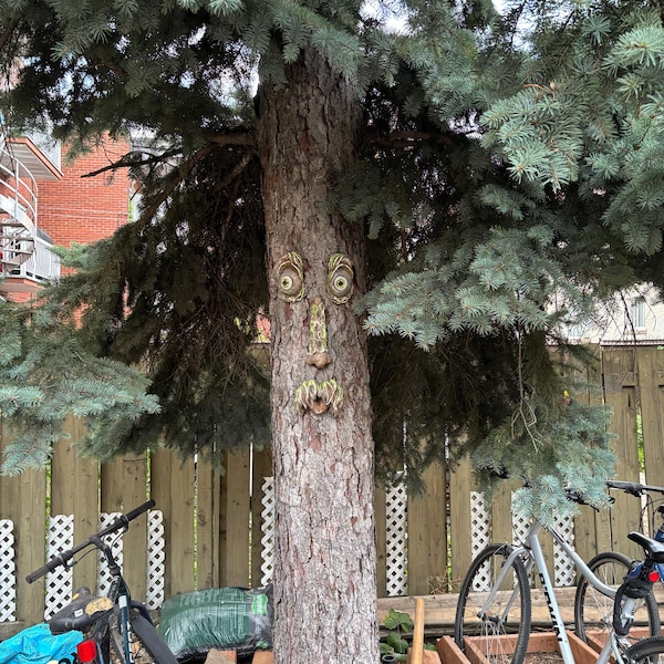 Ole Treemun - Large Concrete Tree Face Perfect Gift Birthday Gift ...