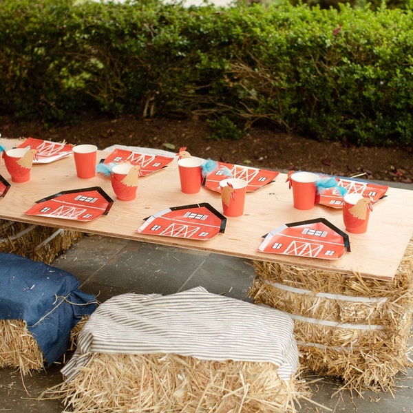 Bow Wow Large Plates Mixed Pack 8 Pack Bow Wow Party Supplies Puppy ...