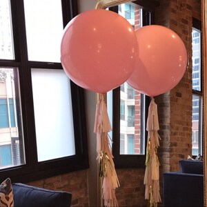 Blush Balloon with Tassel Tail Fringe Latex Balloon Blush | Etsy
