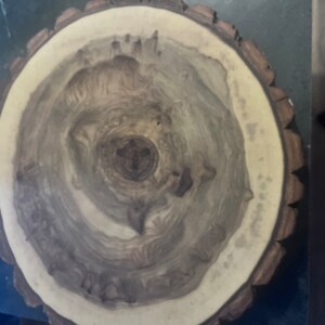 Alder Forked Poles One Pole - Etsy