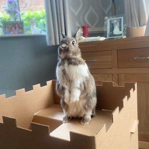 The Castle Corrugated Cardboard Castle for Bunny Rabbits & | Etsy UK