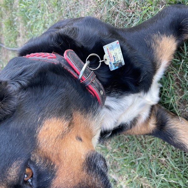 Personalized Aluminum Pet Texas ID Tag - Mini Doggy Texas Driver ...
