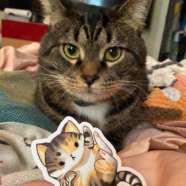 Vinyl Sticker Tricolor Tabby Cat Sparkles - Etsy