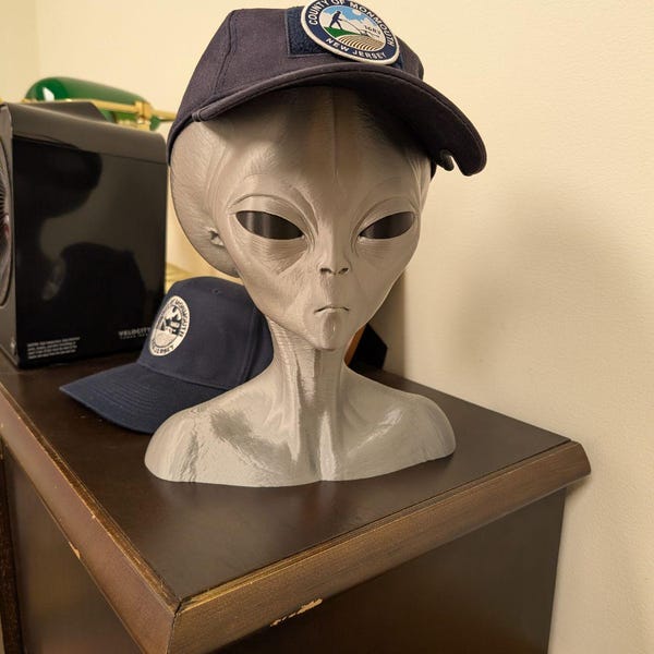 TR-3B Black Manta Triangle ARV Model - 3D Printed UFO Replica in Gloss ...