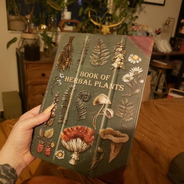 Kawaii Capybara Art Kindle Paperwhite 4 Cute Animal Case Kindle Custom ...