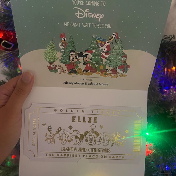 Disney Professional Autograph and Photo Book, Name Printed With GOLD ...