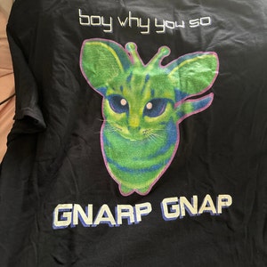 Boy Why You so Gnarp Gnap Alien Cat Tiktok Meme T-shirt - Etsy