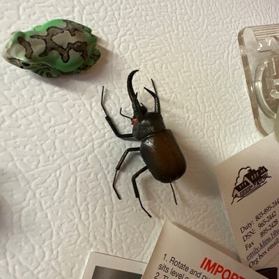 Ladybug, Bug Magnet, Small Size Handmade Clay Magnet Insect Figurine ...