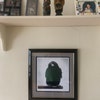 PHILOSOPHER CROW Signed Fine Art Photograph by June Hunter, Crow ...