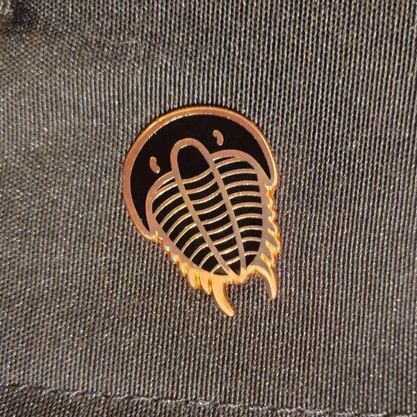 Trilobite Enamel Pin - Etsy