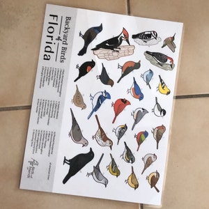 California Printable Backyard Birds of California Field Guide Print ...