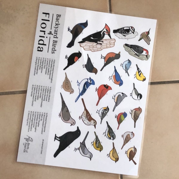 Ohio - Printable Backyard Birds of Ohio Field Guide Print - Bird Art ...