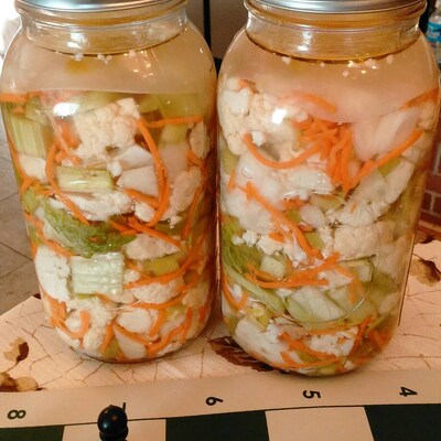 Masontops Pickle Pebble Glass Infinity Weights for Fermenting Pickling ...