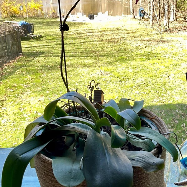 Carboy Cover, Decorative Water Bottle Cover, 19L Dispenser Sleeve, Gift ...