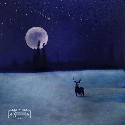 Realistic and Dreamy Star Overlays for Night Sky Images, Milky Way ...