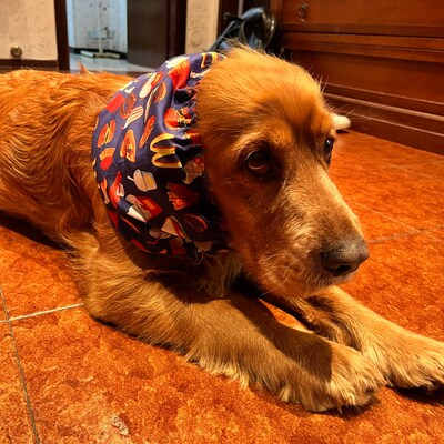 Waterproof Thick Dog Snood Swimming Cap for Dog Dog Hat - Etsy