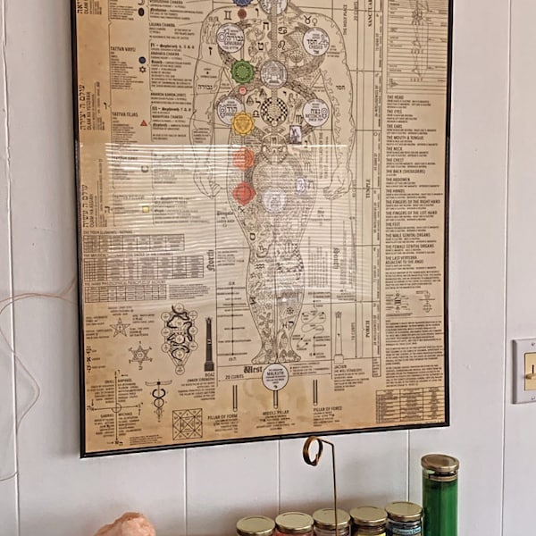 Occult Anatomy 2020 - Large Occult Poster (24x36), Occult Illustration ...