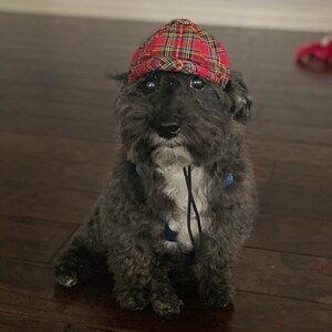 Extra Small or Small Dog Newsboy Cap hat - Etsy