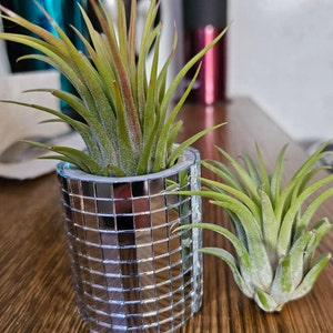 Pandan Pot Air Planter, Mini Planters, Cute Planter, Boho Decor, Air ...