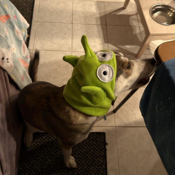 Where the Wild Things Are Dog Costume, Wild Things Carol Dog Costume ...