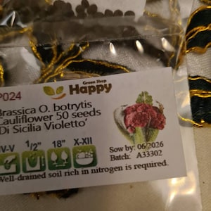 Tumbling Ted SOAPWORT SAPONARIA OCYMOIDES 700 Seeds Trailing Flower ...