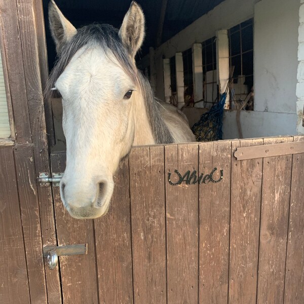 Stable Door Name Plate / Stable Name Plaque / Horse Name Sign / Pony ...